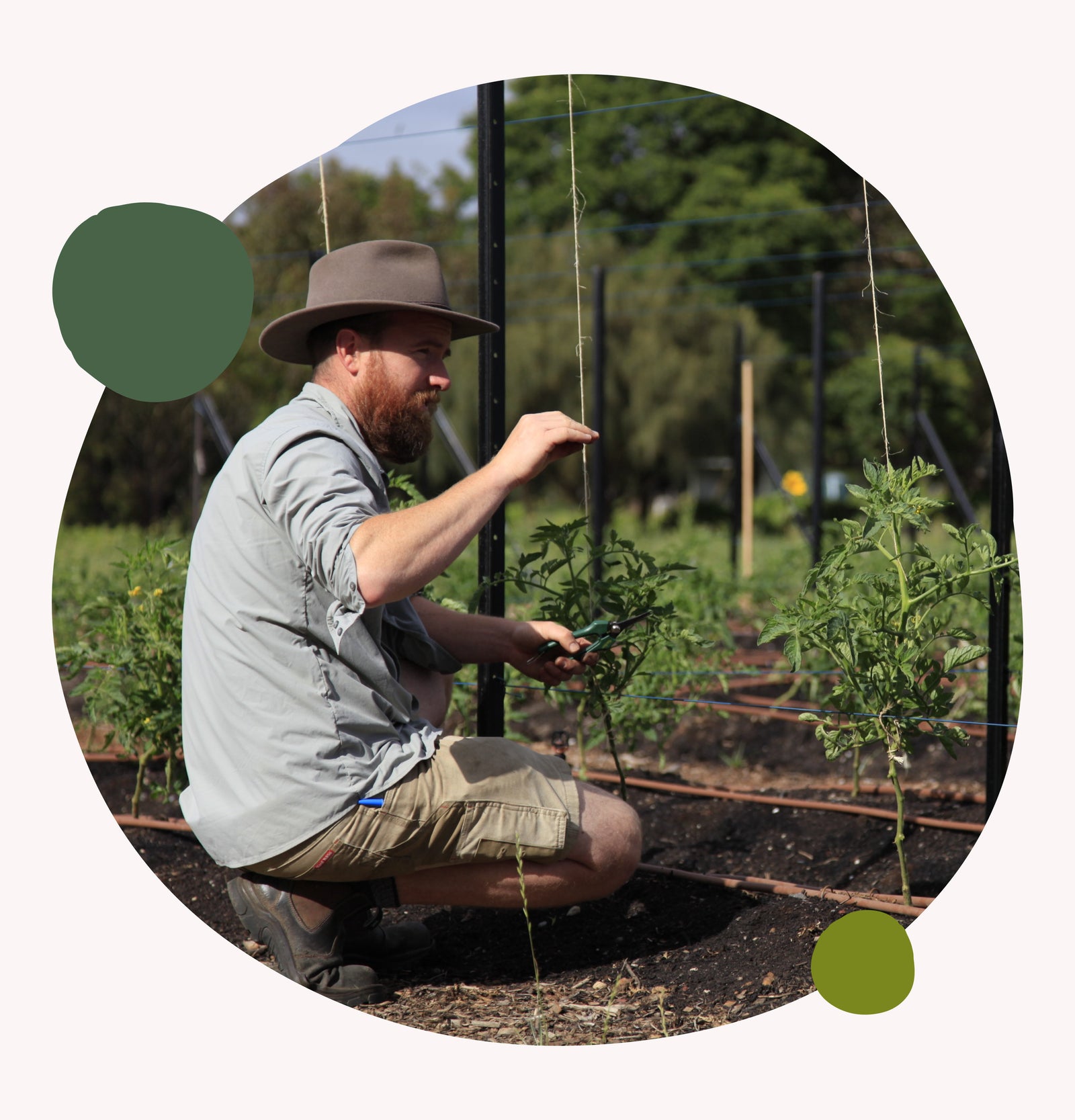 About us | Learn More About Farm My School